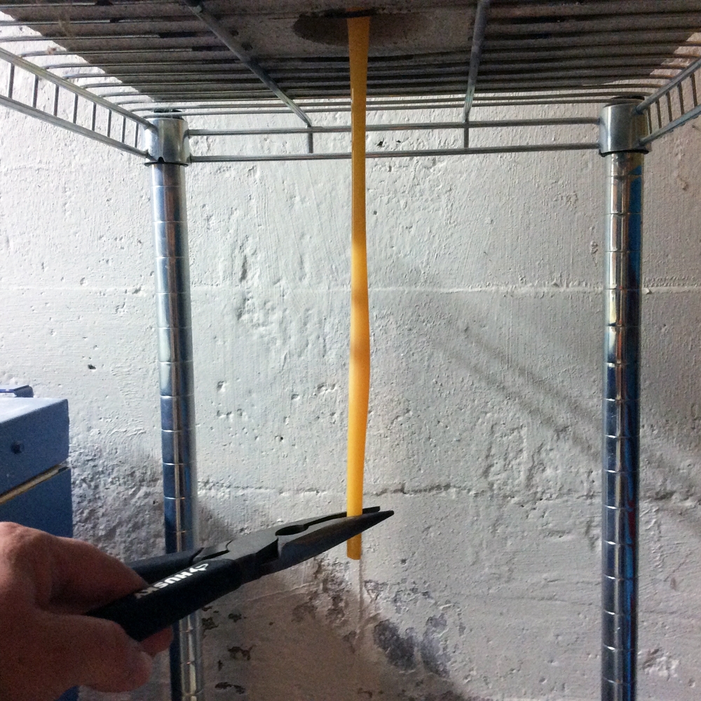 the process | Robin Kittleson